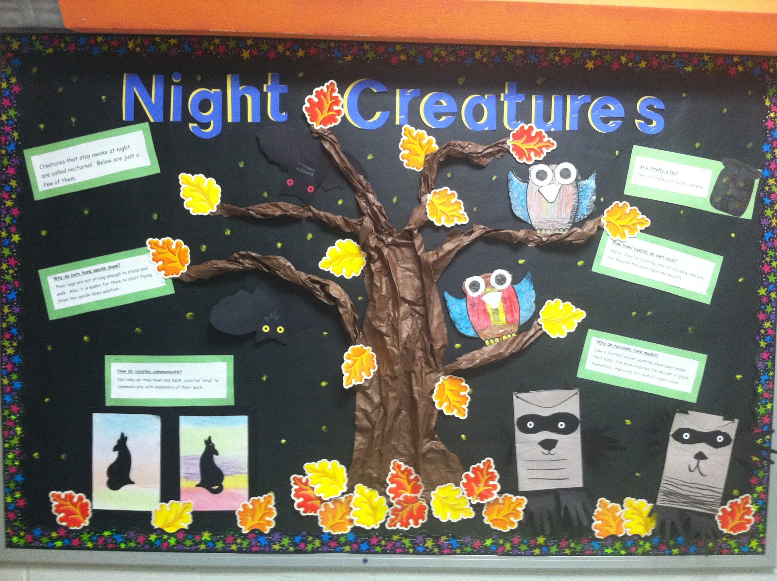 Young & Lively Kindergarten: Night Creatures